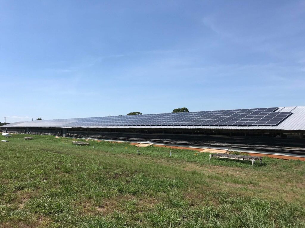 Poultry Farm Roof Top Solar - APC Solar