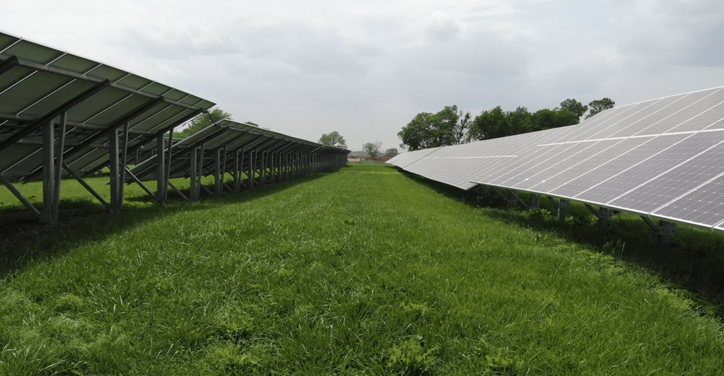 Agricultural Solar Farm - APC Solar
