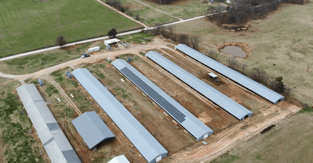 Poultry Farm Roof Top Solar - APC Solar